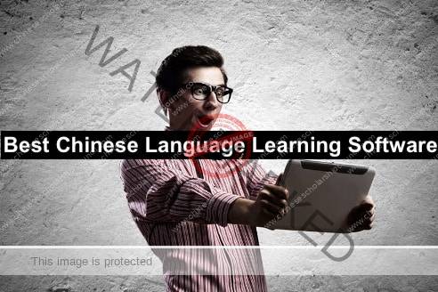 Best Chinese Language Learning Software 2022 (UPDATED)